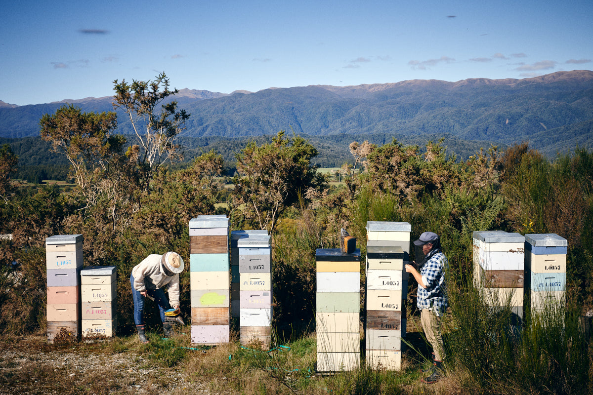 Manuka Honey, Honey, Raw Honey, beeswax, Christchurch, New Zealand ...